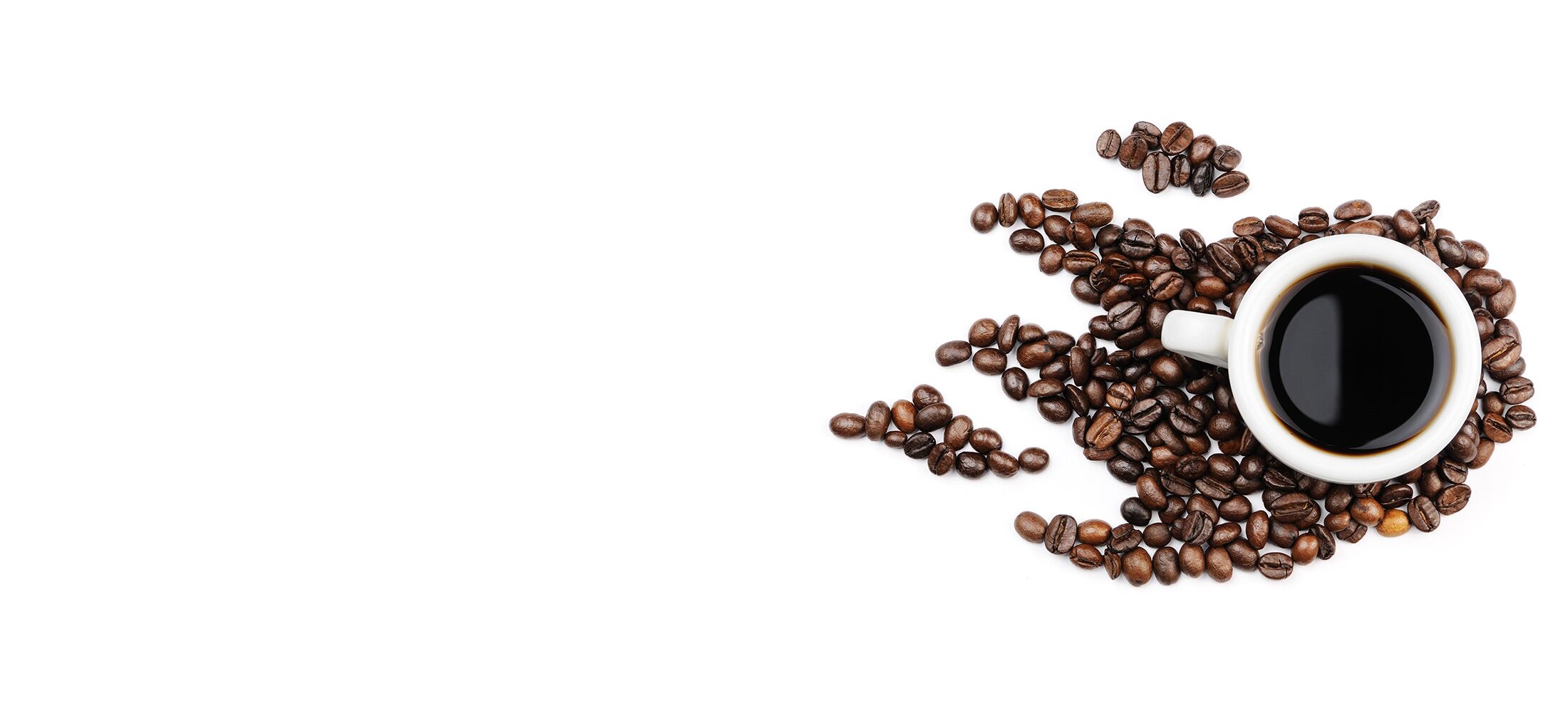 Eco Delight Coffee - Eco Delight Coffee